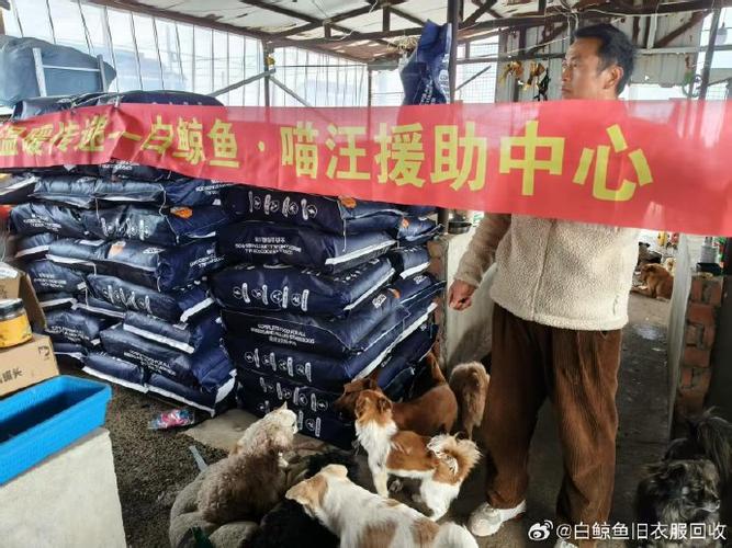 白鲸捐衣服图标