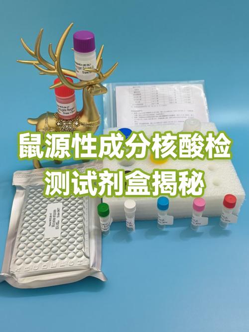 核酸检测检测的是什么核酸图标