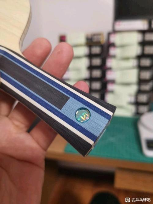 樊振东alc和salc区别