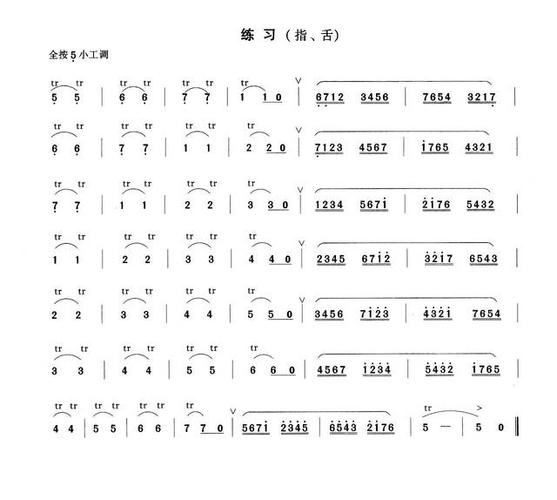 一分钟学颤音截图