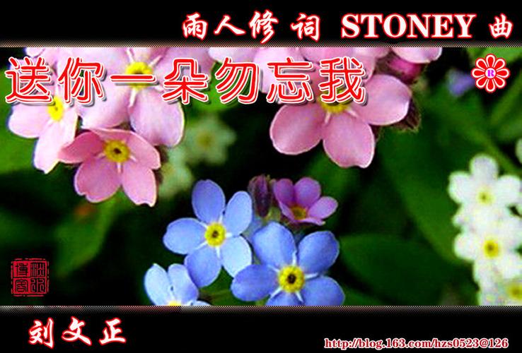 邓丽君勿忘我歌曲截图