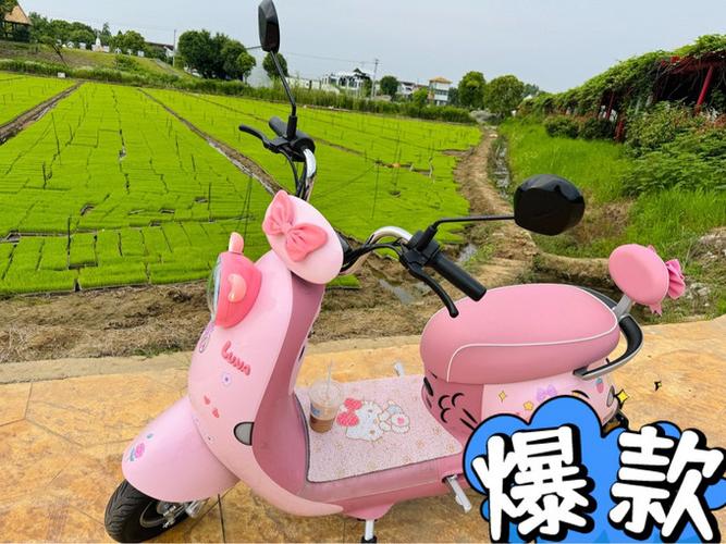爱玛被别人绑定了怎么解绑图标