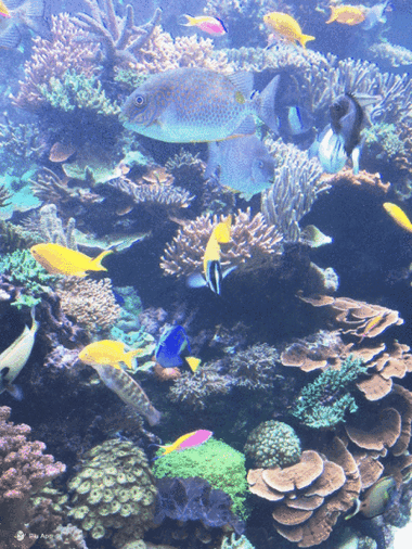 3d水族馆动态锁屏壁纸图标