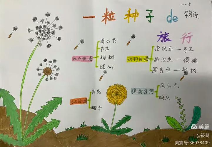 一粒种子阅读答案大全图标