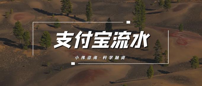 支付宝流水电子档怎么弄图标