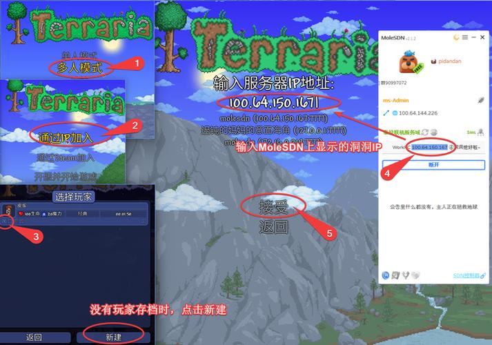 泰拉瑞亚怎么ip联机截图