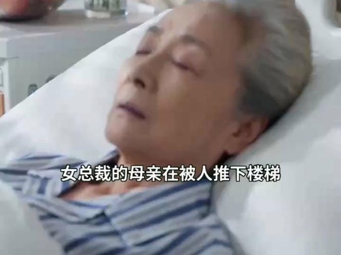 和你重逢在仲夏免费阅读全文截图