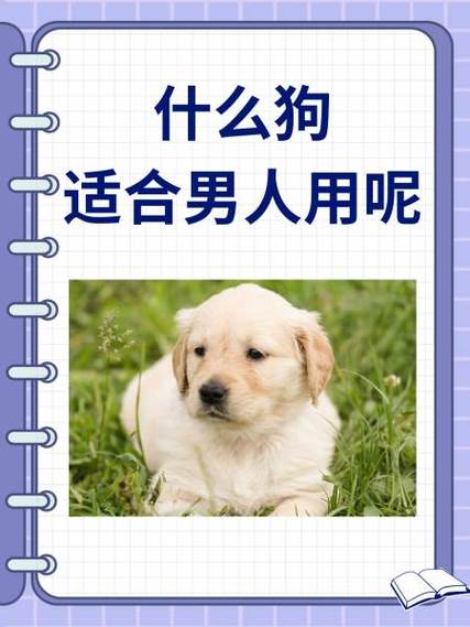 男人发狗高情商回答图标