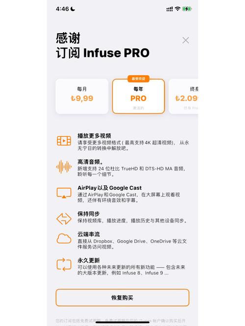 infuse买哪个版本图标