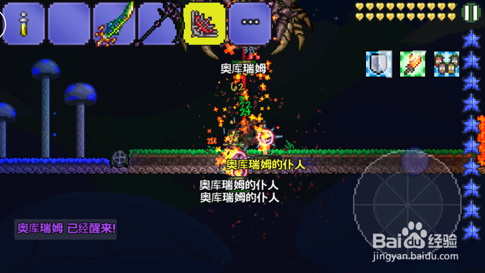 奥库瑞姆掉什么图标