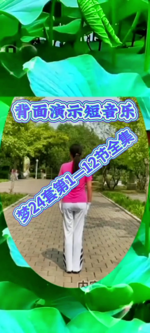 梦二十六套12节分解