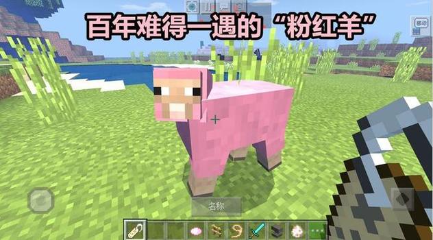 我的世界粉色羊刷新几率图标