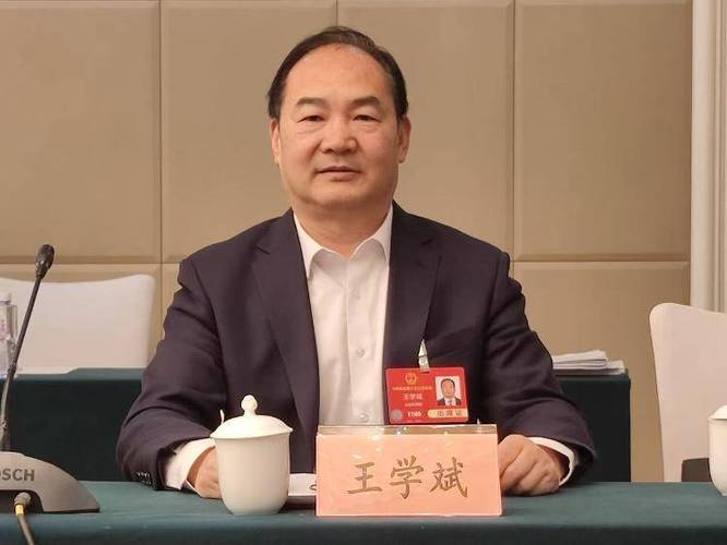 王学斌图标