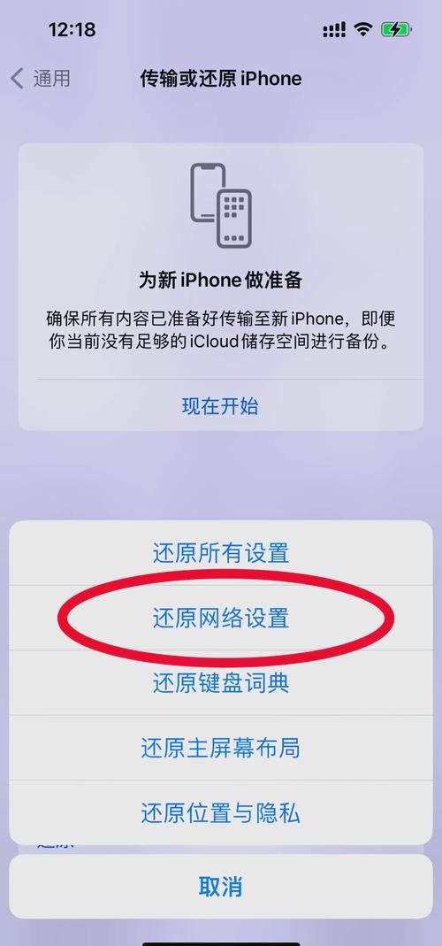 苹果还原网络设置后果截图
