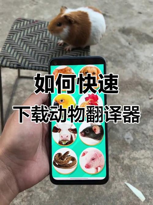 动物翻译器软件下载免费