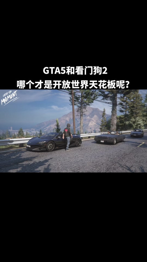 看门狗2和gta5哪个配置要求高截图