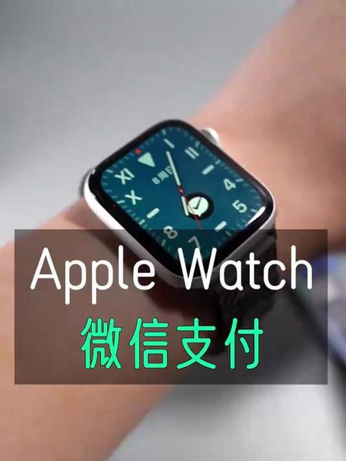 apple watch 支付截图