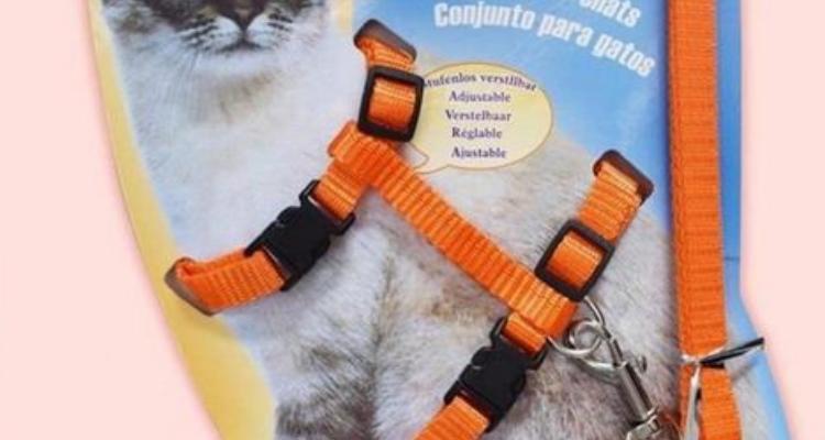 栓猫绳子怎么套图标