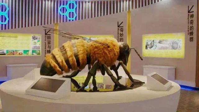 小时候看过的蜜蜂王国截图