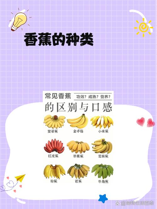 香蕉和小米蕉的区别图标