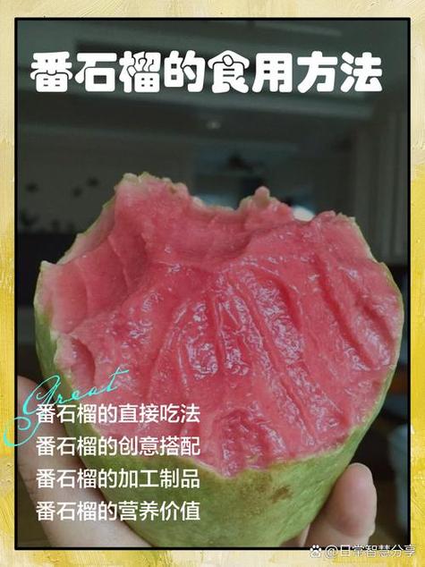 孕妇可以吃石榴吗早期图标