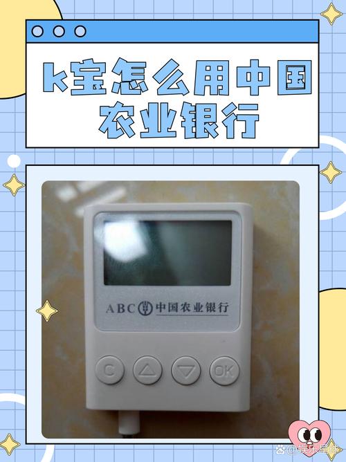 电脑农行k宝亮了但是检测不到图标