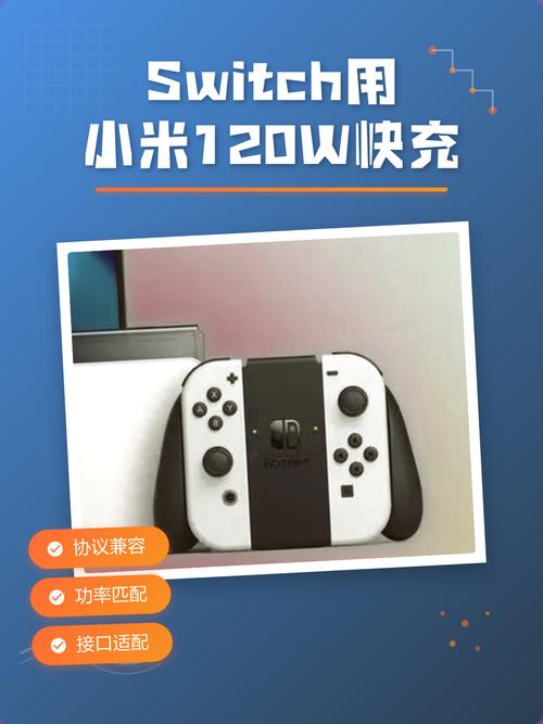 switch快充支持多少w图标