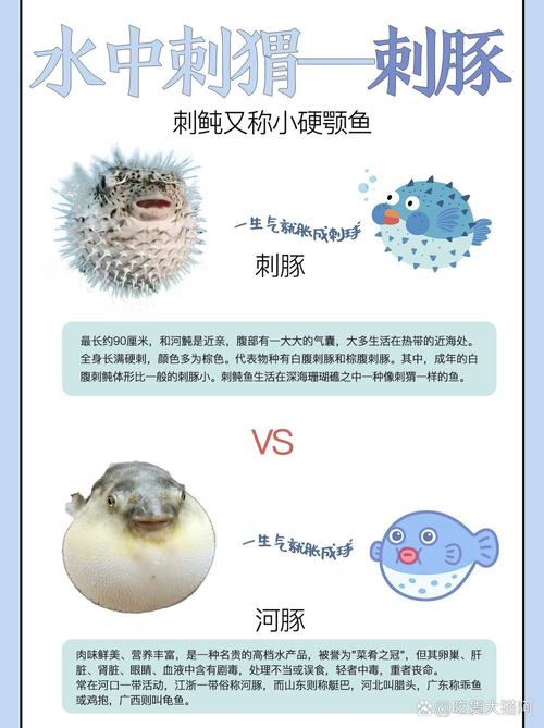 刺豚鱼的功效与作用图标