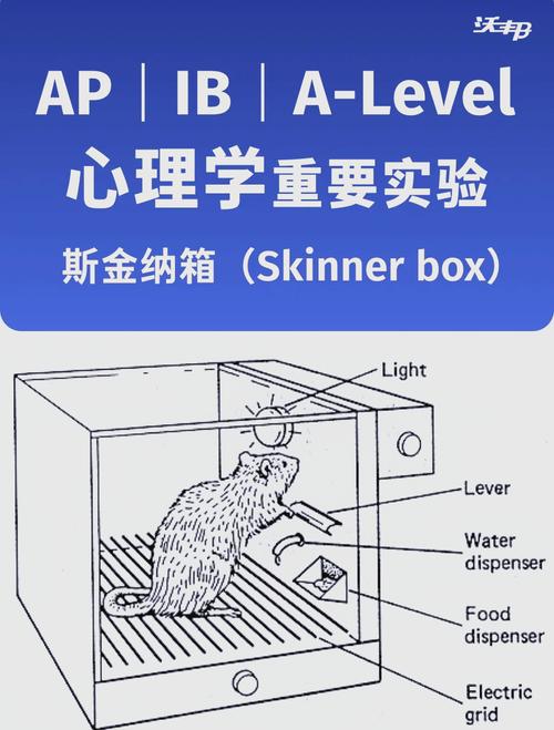 如何登录别人的qq邮箱图标