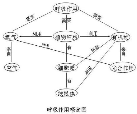 初一呼吸作用思维导图图标
