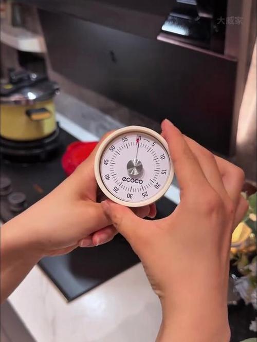 厨房机械计时器哪个牌子好图标