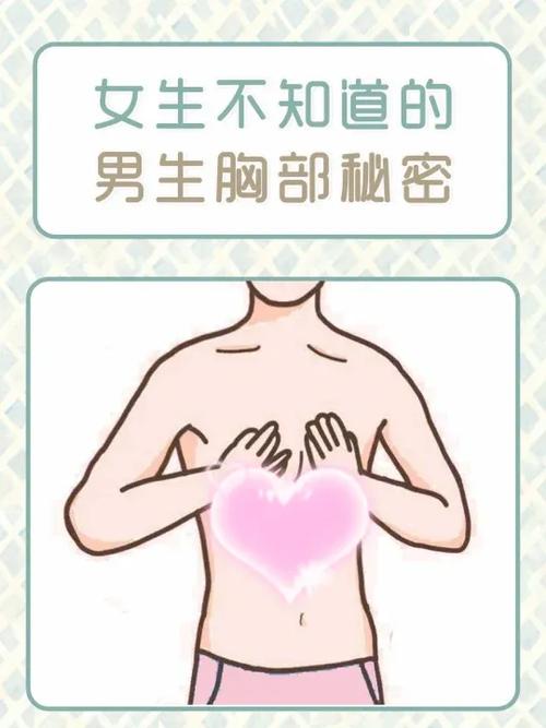 男生想有乳房怎么办截图