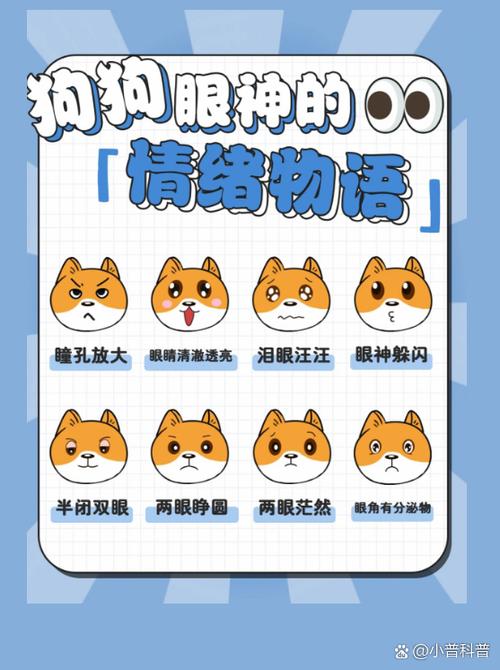 我的冒险狗2第18关截图