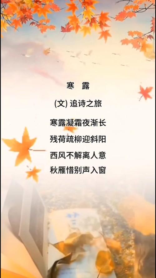 寒露节气古诗图标