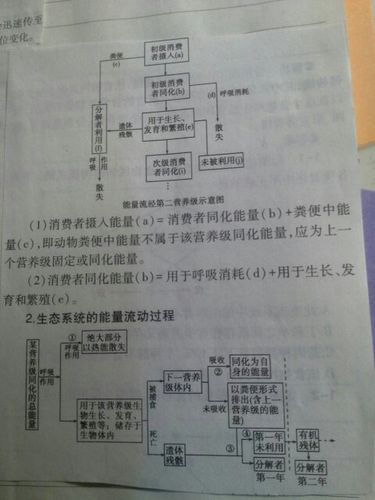 用于生长繁殖的能量怎么算图标