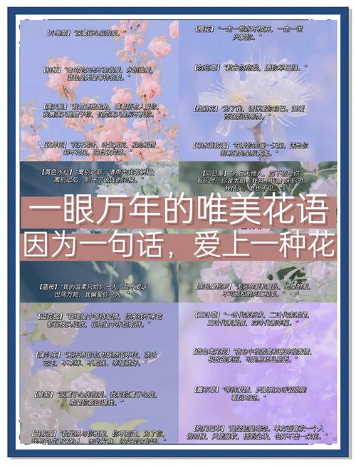 花之恋的花语图标
