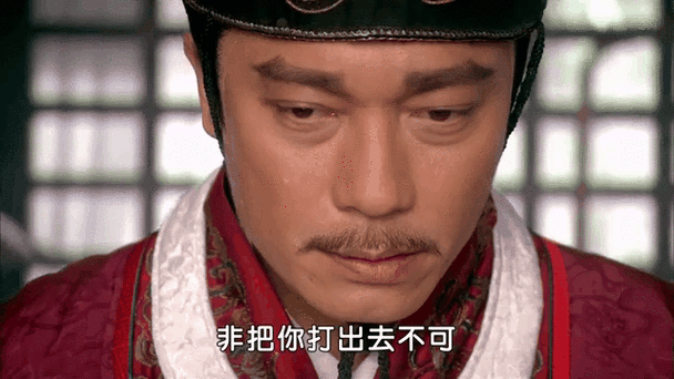 皇上万万不可贺兰之赵胤