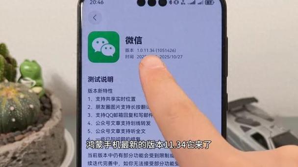 更新鸿蒙后一直跳出登录网络图标
