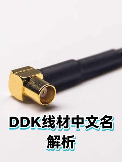 ddk是什么品牌截图