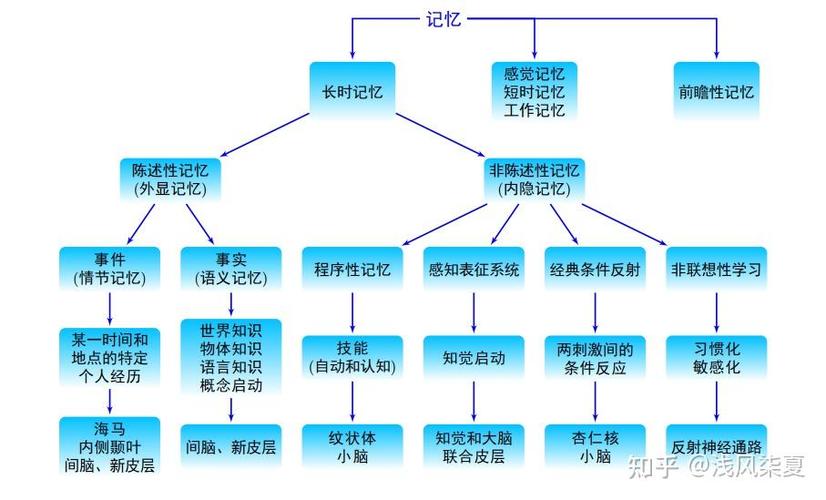 bs2全记忆收集流程图标