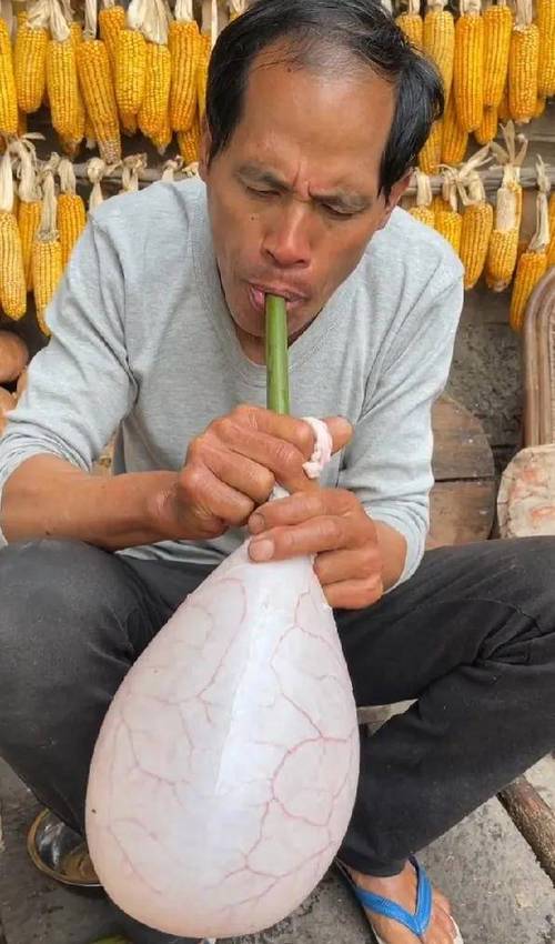 老杨最新美食视频图标