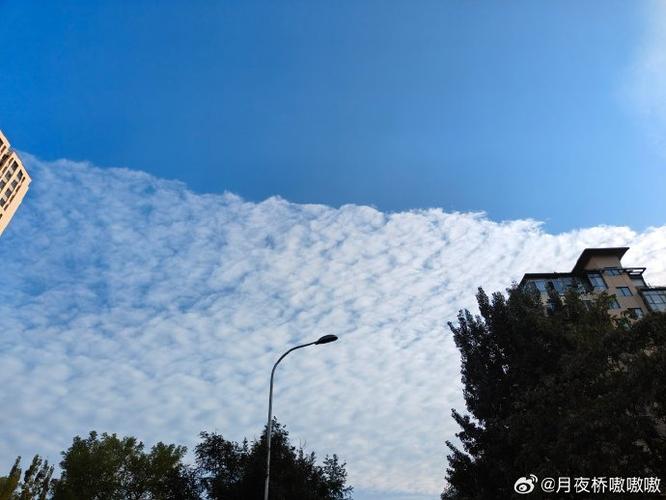 嗷云图标