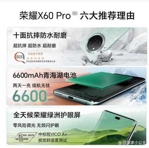 手机型号加pro是什么意思图标