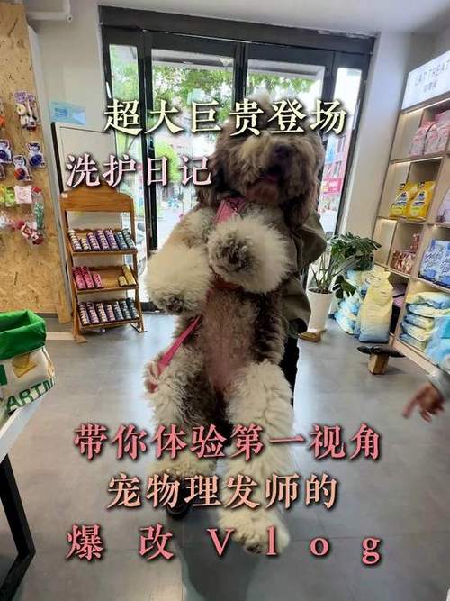 宠物店上班真实感受图标