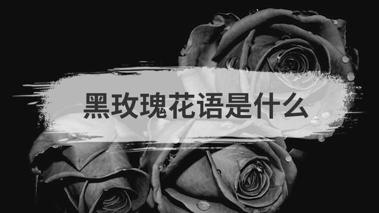 黑玫瑰代表什么含义图标