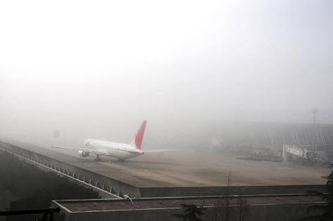 多大的雾会影响航班截图