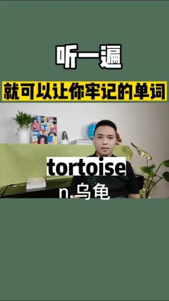 乌龟的英文是什么短语