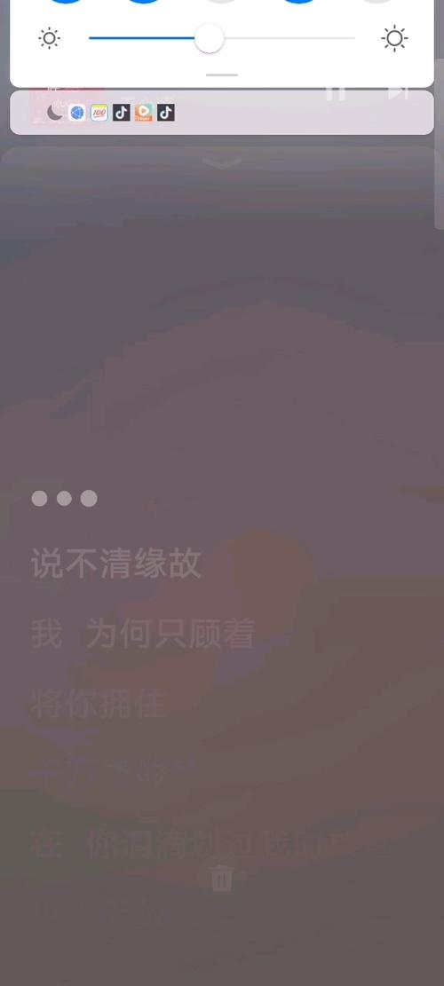 手机屏幕显示歌词截图
