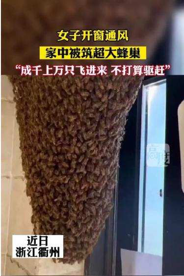 马蜂窝拼团安全吗图标