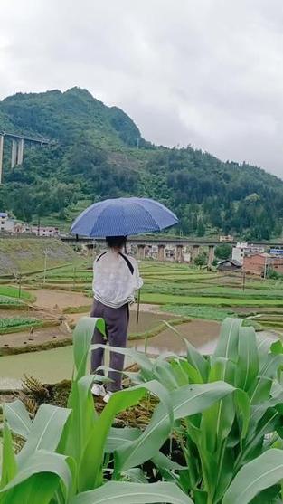 返回乡村1NTRMAN图标